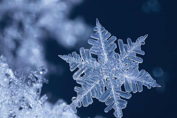 La Magie des Flocons de Neige : Unicité et Beauté ️