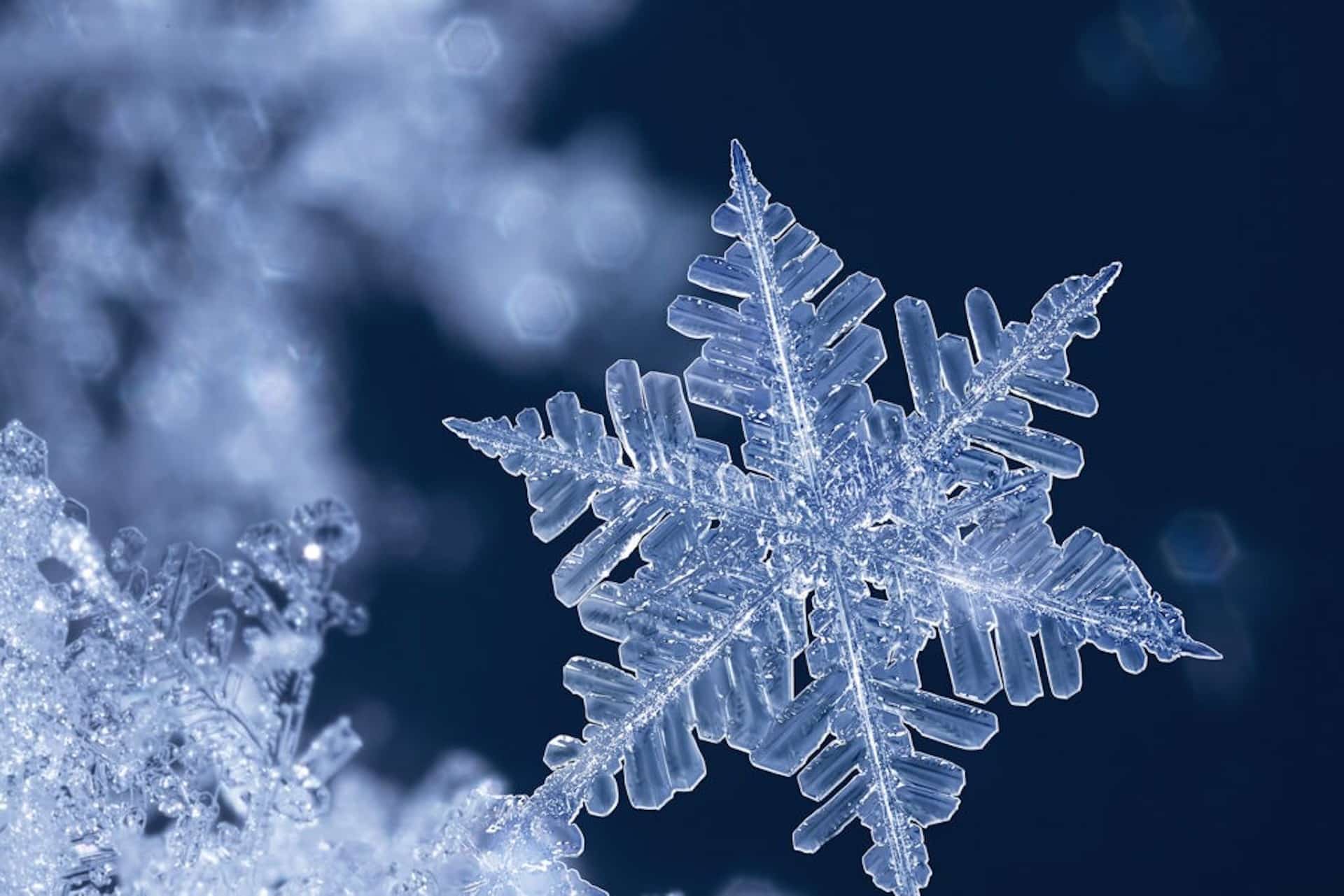 La Magie des Flocons de Neige : Unicité et Beauté ️